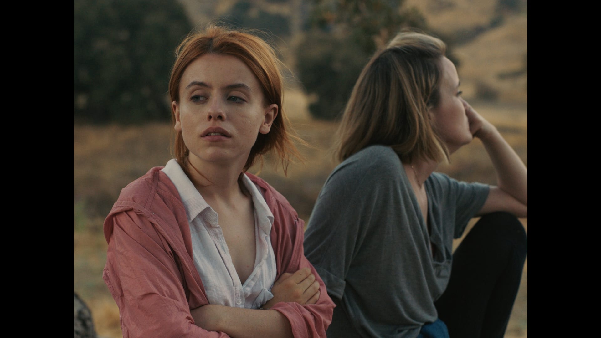 Indigo Valley (2020) — Movie Reviews by Todd Wofford