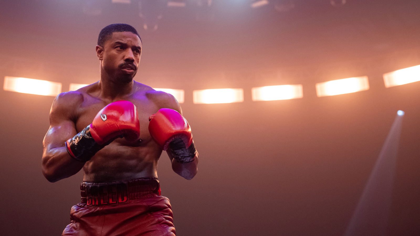 Creed III (2023) - Movie Reviews by Todd Wofford